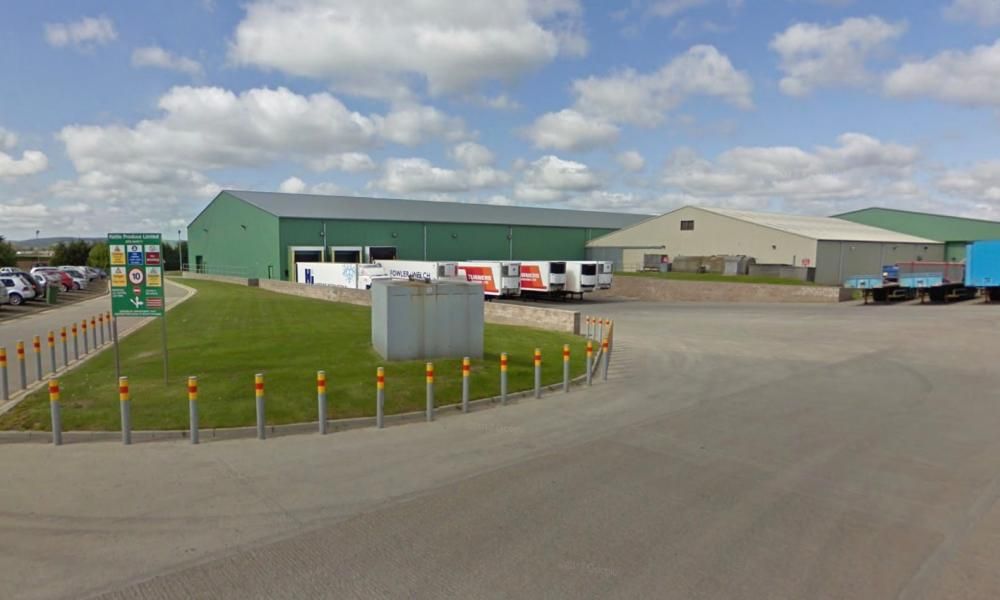 Worker choked unconscious by carrot baton machine at…