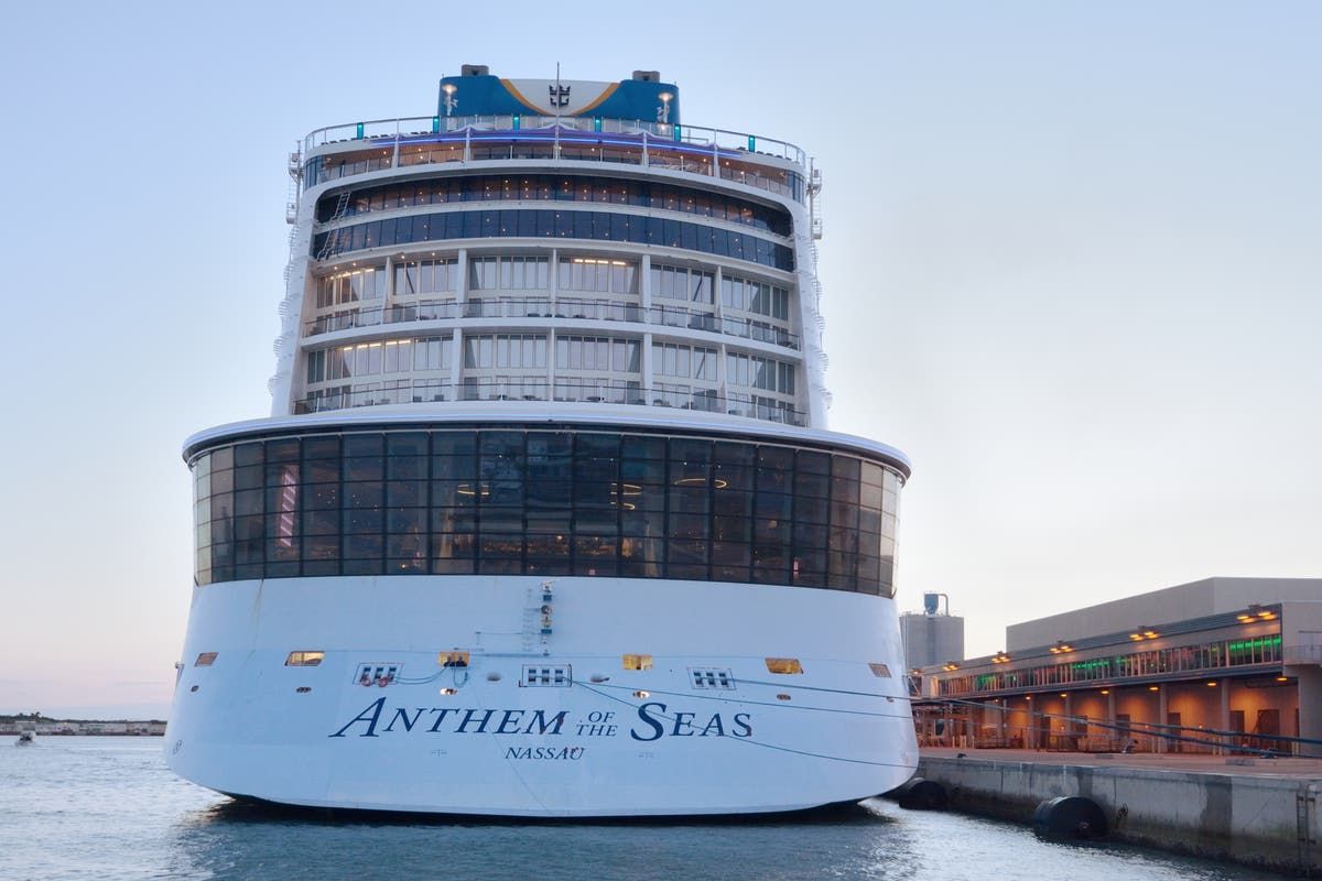 A passenger went missing on a cruise ship. His mother…