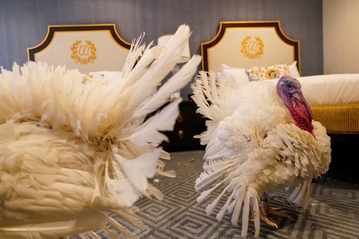 Why does the president pardon a Thanksgiving turkey?