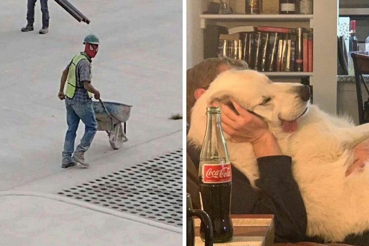 80 Weird Images That Need No Context Whatsoever To Be…