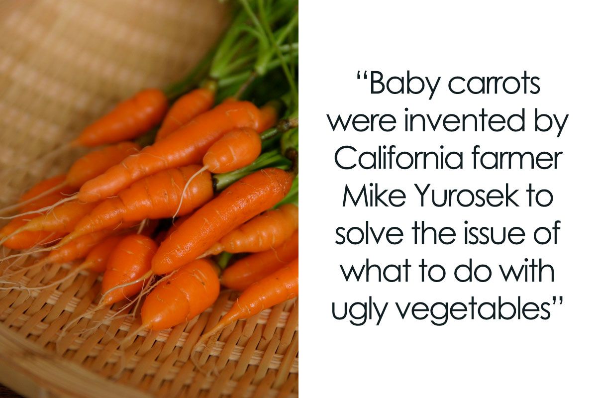 “Did You Know?”: 65 Of The Most Interesting Facts,…