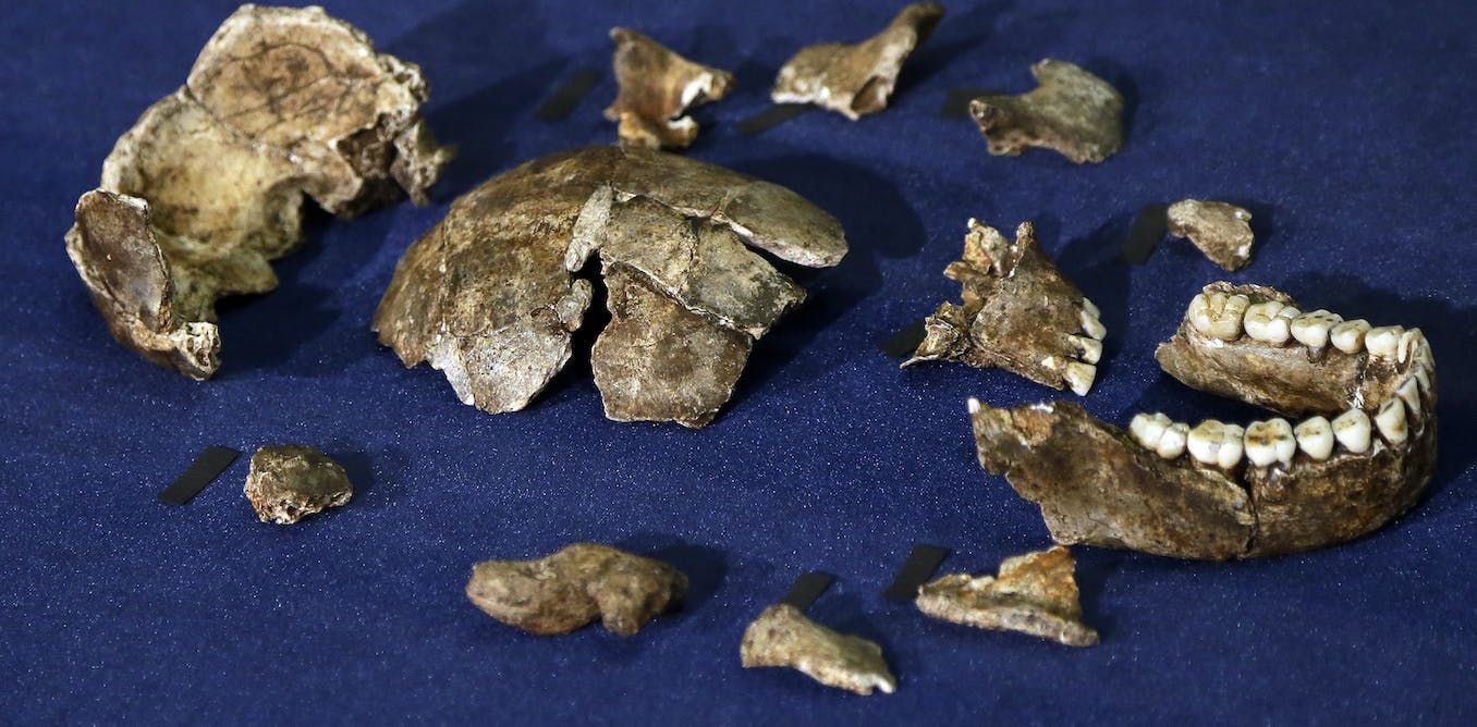 Controversial claims about extinct humans are stirring…