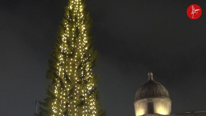 Trafalgar Square's Norway Christmas tree tradition…