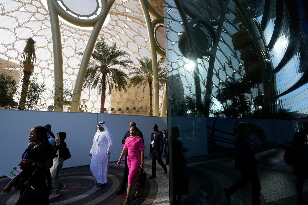 Earth is running a fever. And UN climate talks are…