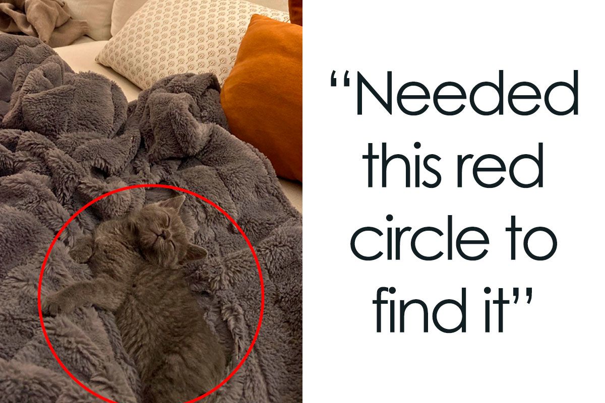50 Hilarious Instances Of Red Circles Being Incredibly…