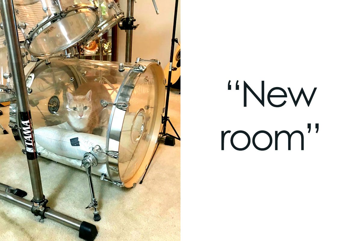 69 Musical Instruments That Somehow Ended Up In These…