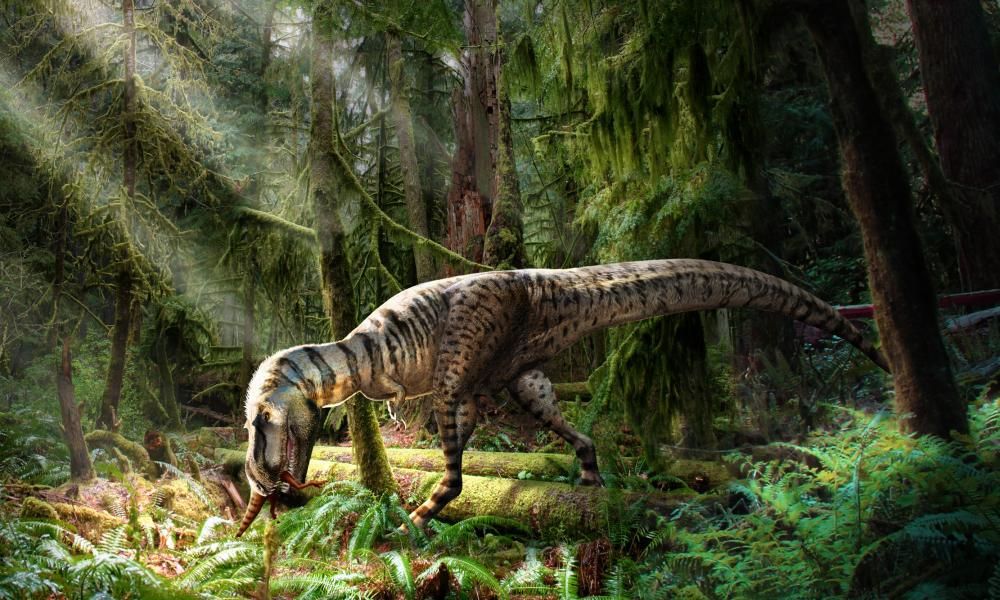 Prehistoric fast food: fossil reveals final meal of… Prehistoric fast food: fossil reveals final meal of…