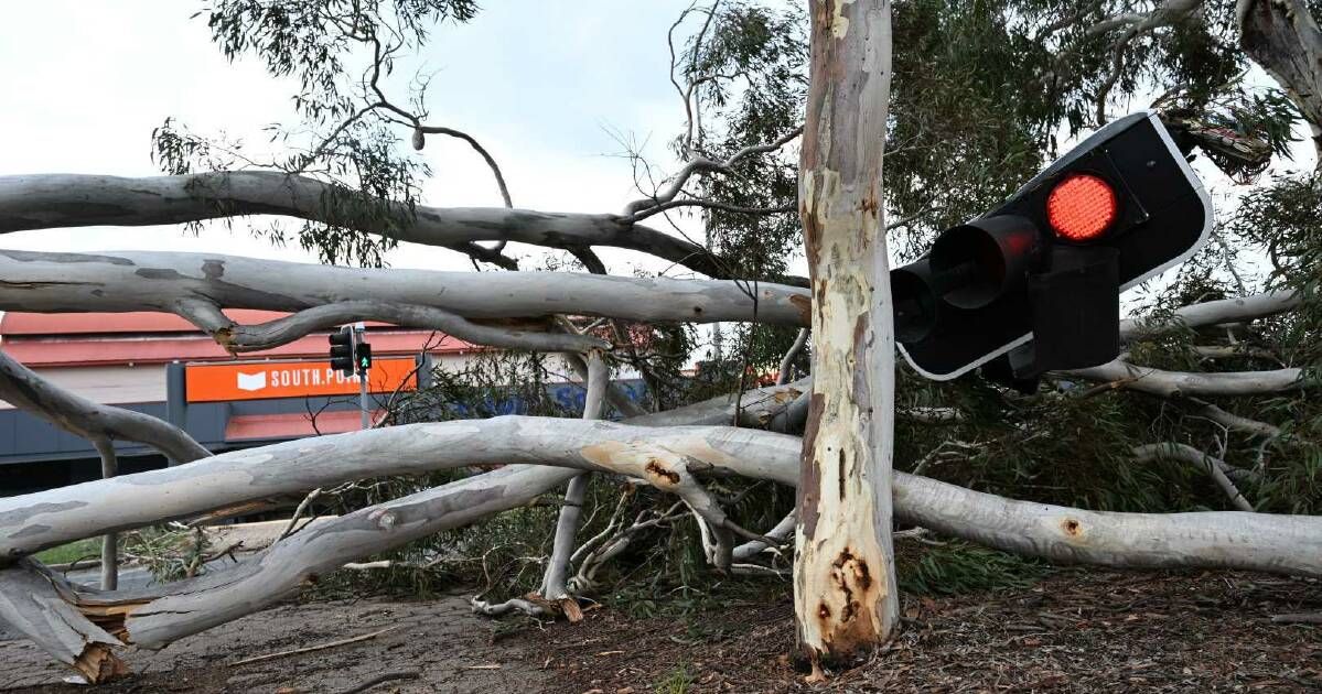 Power cut to 18,000 homes as brief, fierce storm…