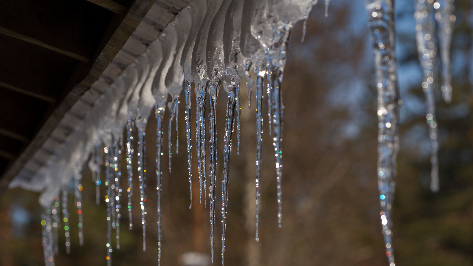 Expert reveals the most common winter home problems,…
