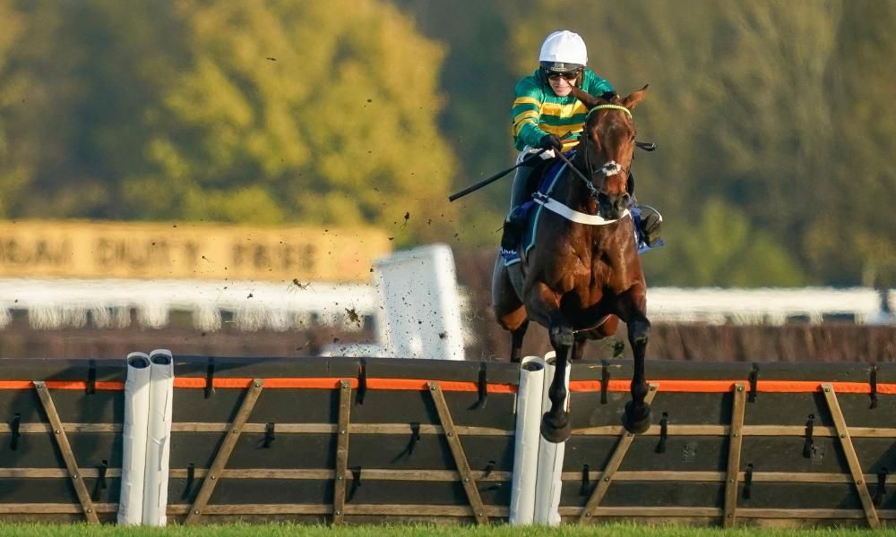 Talking Horses: Champ has the class to repeat 2021…