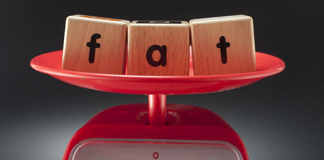Explainer: what is fat studies?