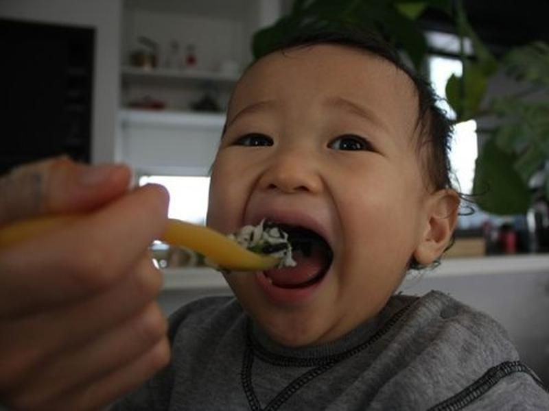 Obese and lean children have different gut bacteria,…