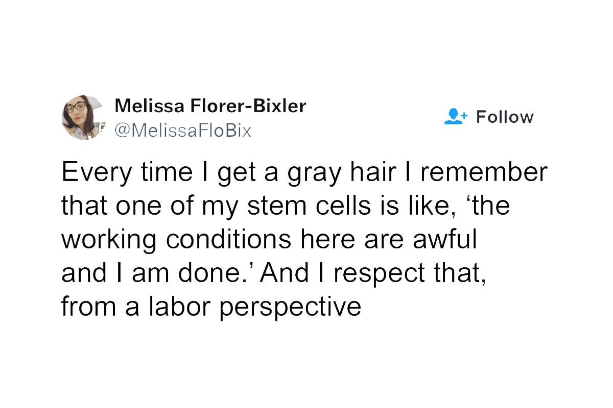 40 Anti-Work Memes From Workipedia To Help You Get…