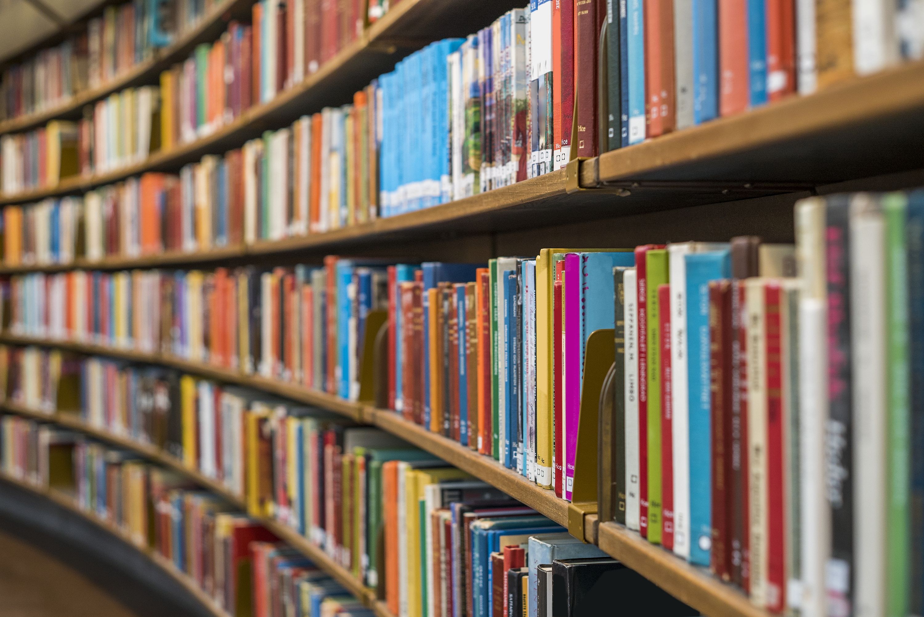 Public libraries reveal their most borrowed books of…