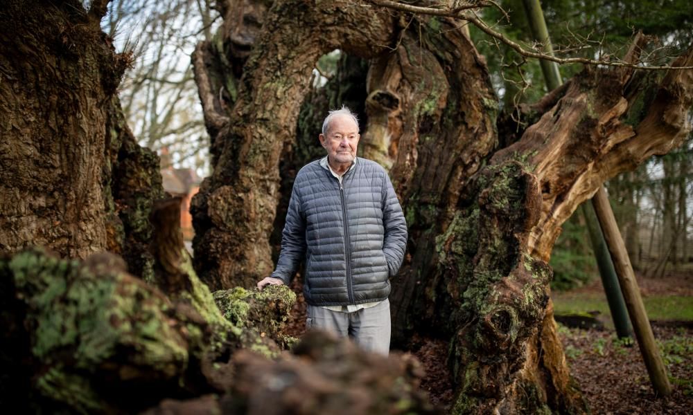 ‘The trees are trying to tell us things’: the…