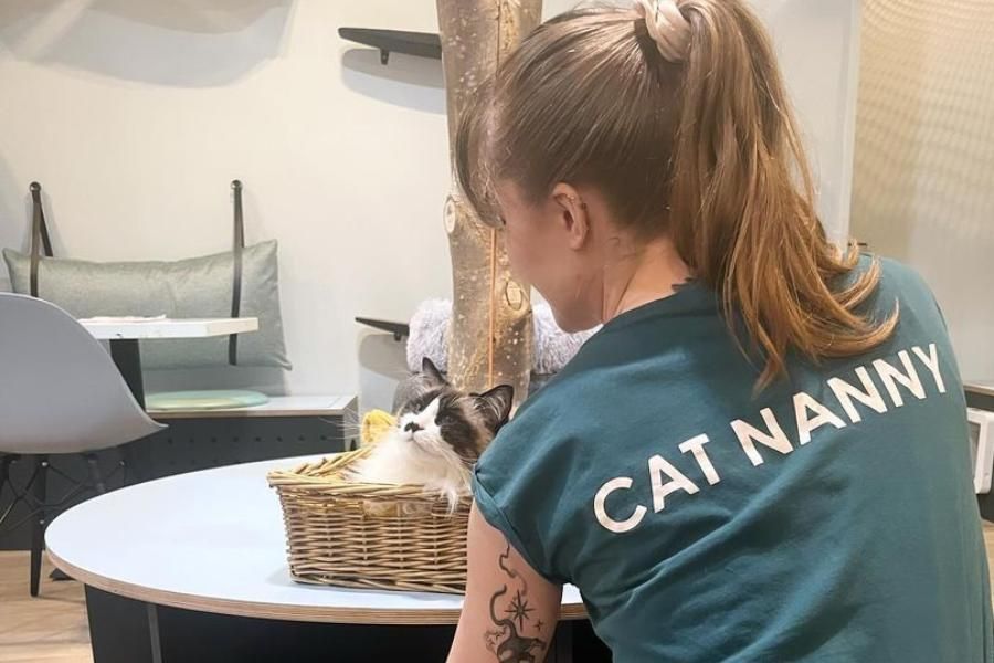 Scotland's first cat cafe advertises cat lovers' dream…