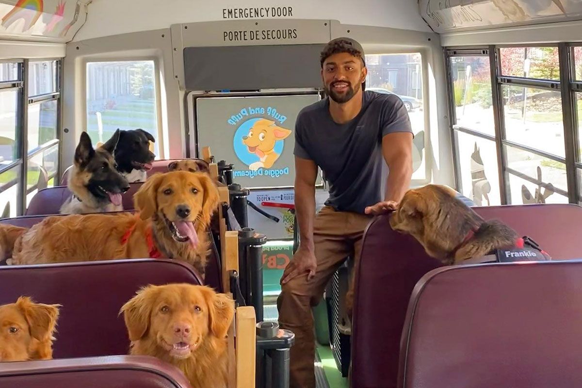 Guy Converts A School Bus To Take Dogs On Daily…