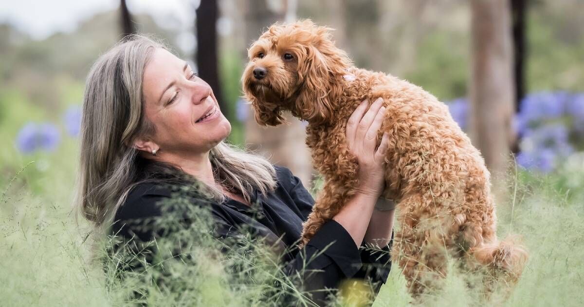 The long tale of Winx the missing dog and how a…