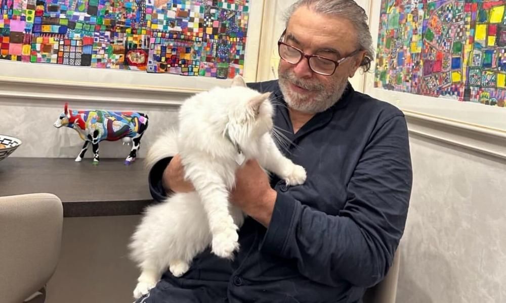 Mystery of actor’s missing cat leads to claims of…