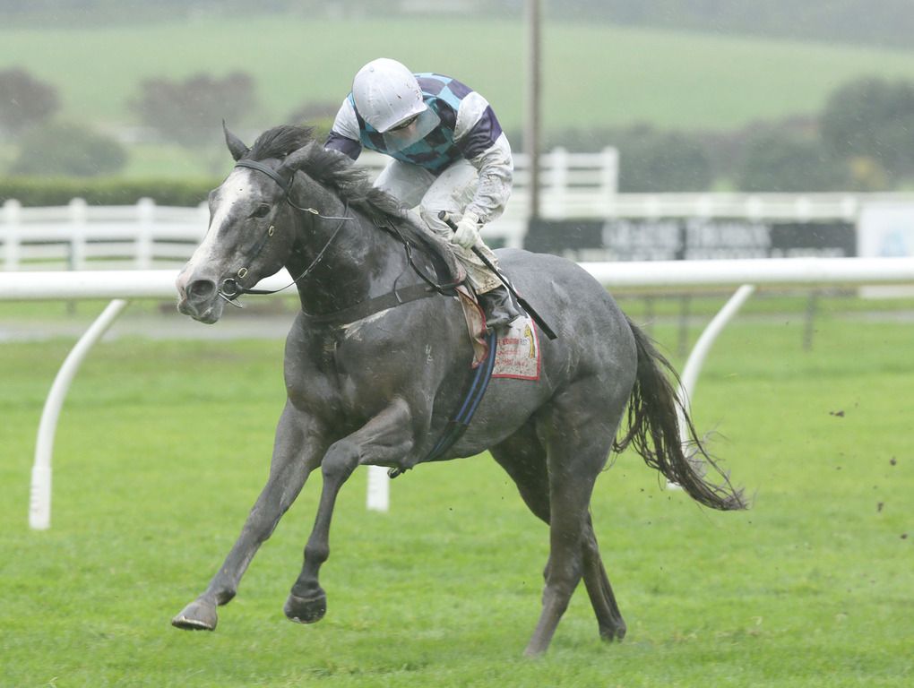Racing: Colt to race in Hong Kong