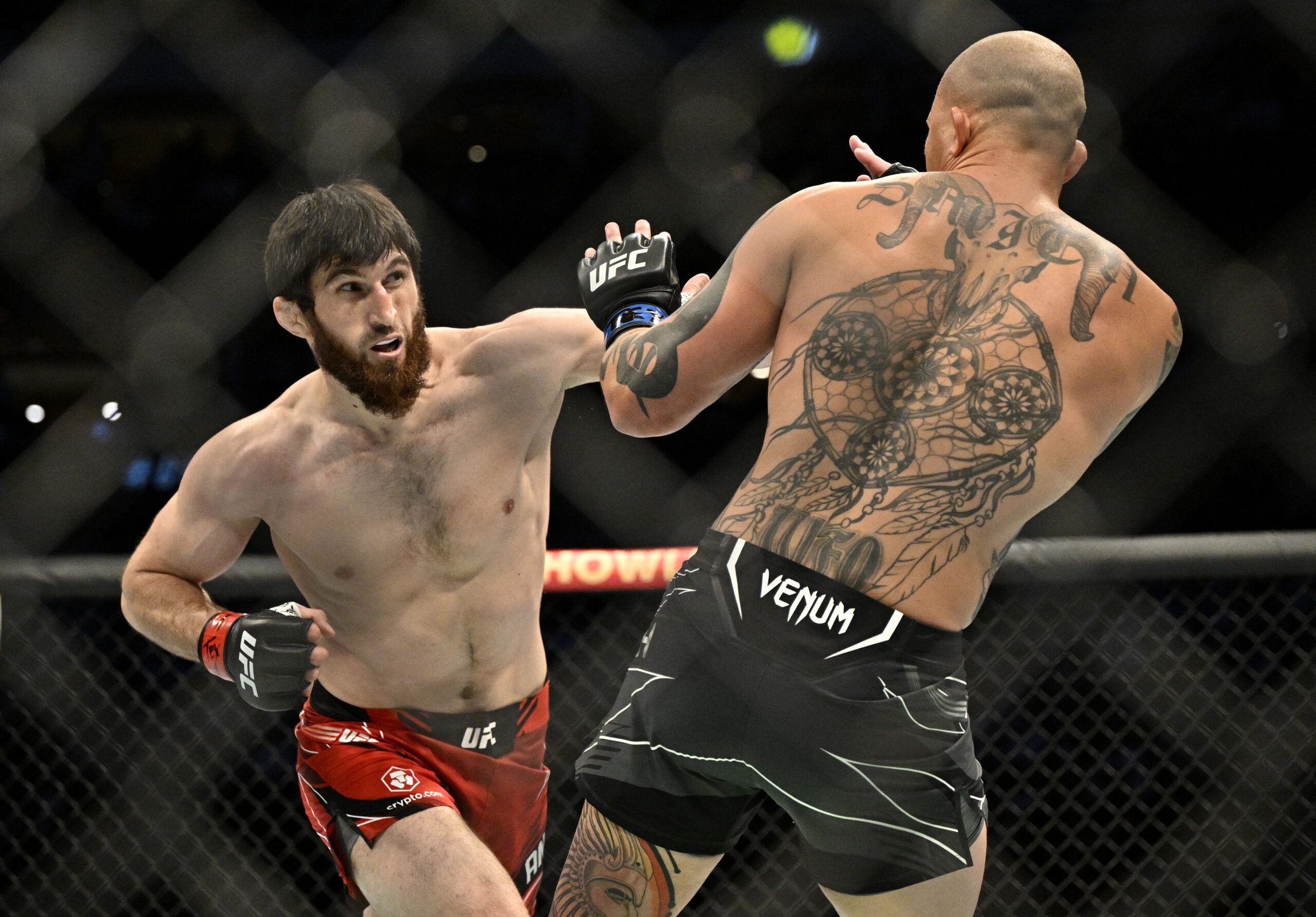 UFC free fight: Magomed Ankalaev ground-and-pounds…