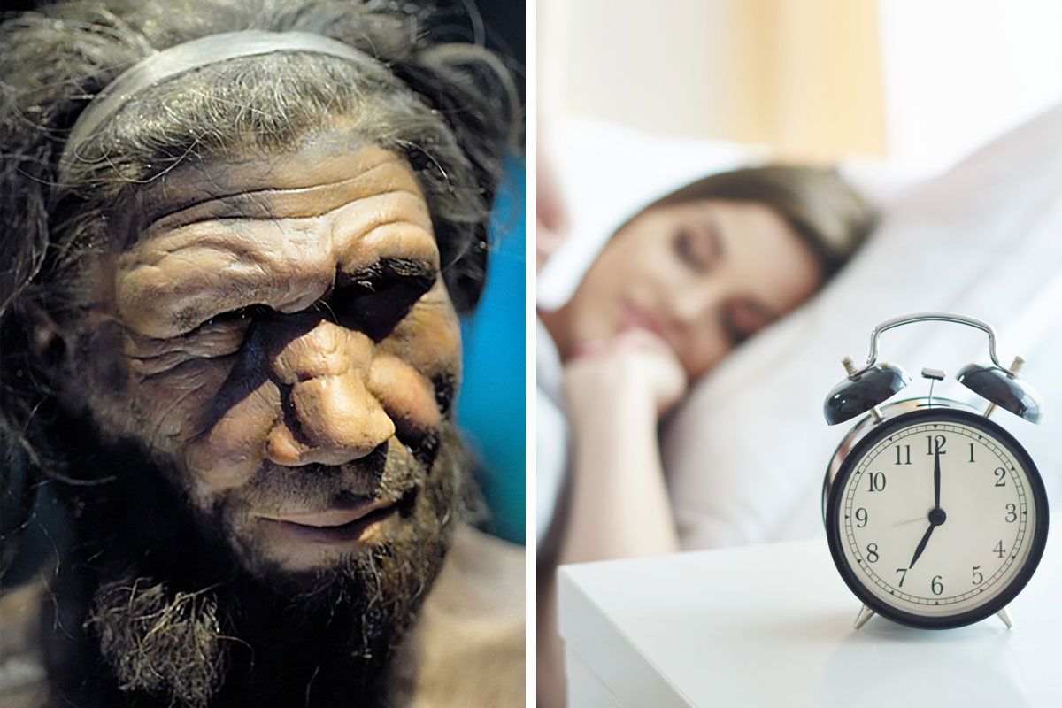 6 Traits That Indicate That You May Have Neanderthal…