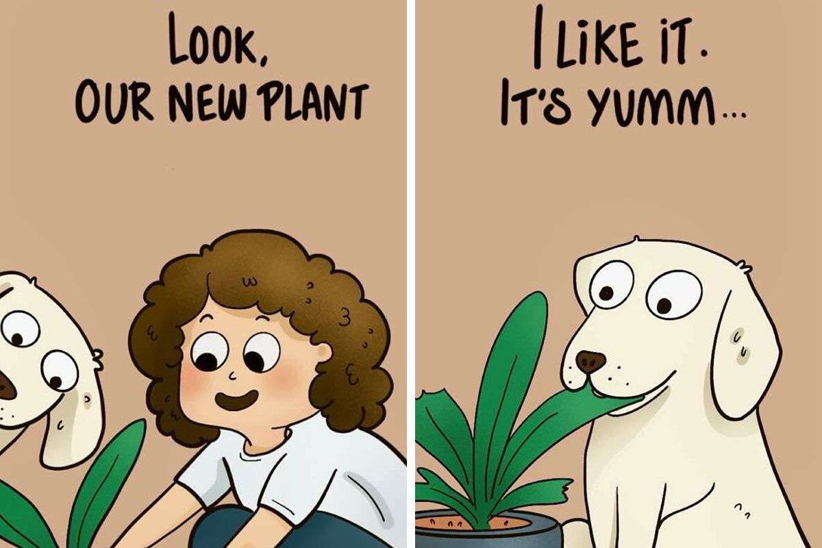 This Artist Makes Wholesome Comics That Show The…