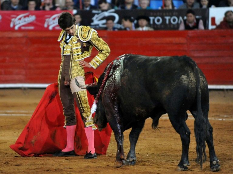 Bullfighting To Return To Mexico City After Legal…