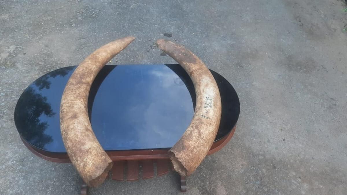 Kerala to hand over ivory, deer horns to Army…