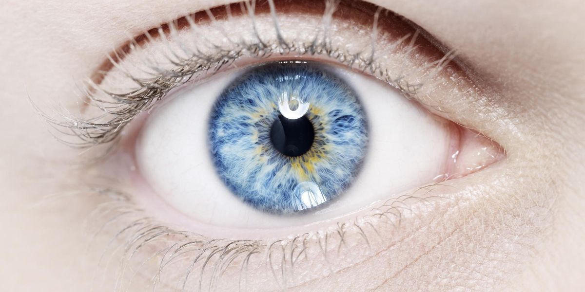 Blue-eyed people all descended from a single European…