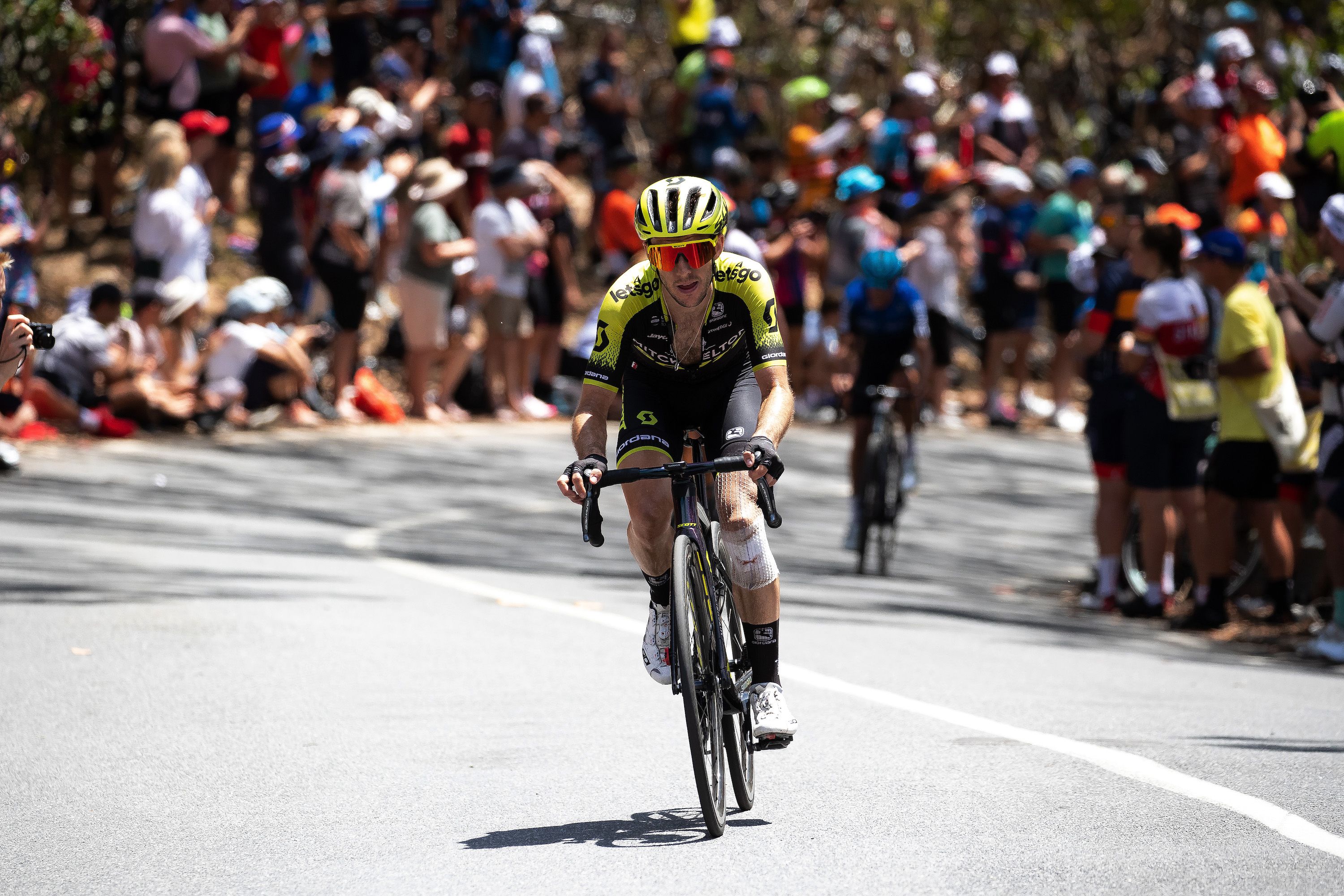 Willunga Hill set to shake up Tour Down Under, with GC…