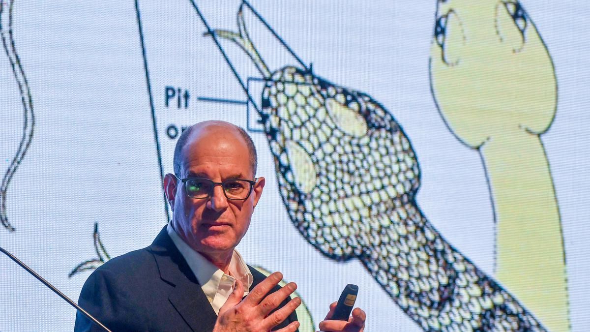 Understanding body’s perception of pain key to…