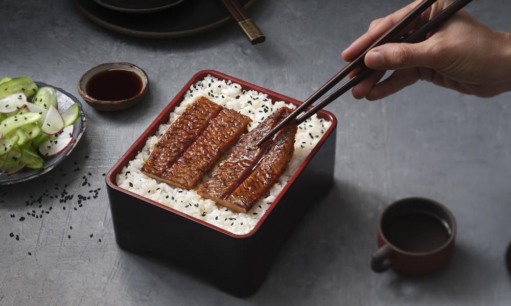 Reinventing the eel: first lab-grown eel meat revealed