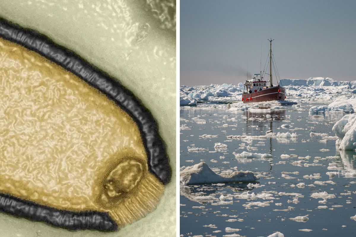“We Face A Tangible Threat”: Scientists Speak About…