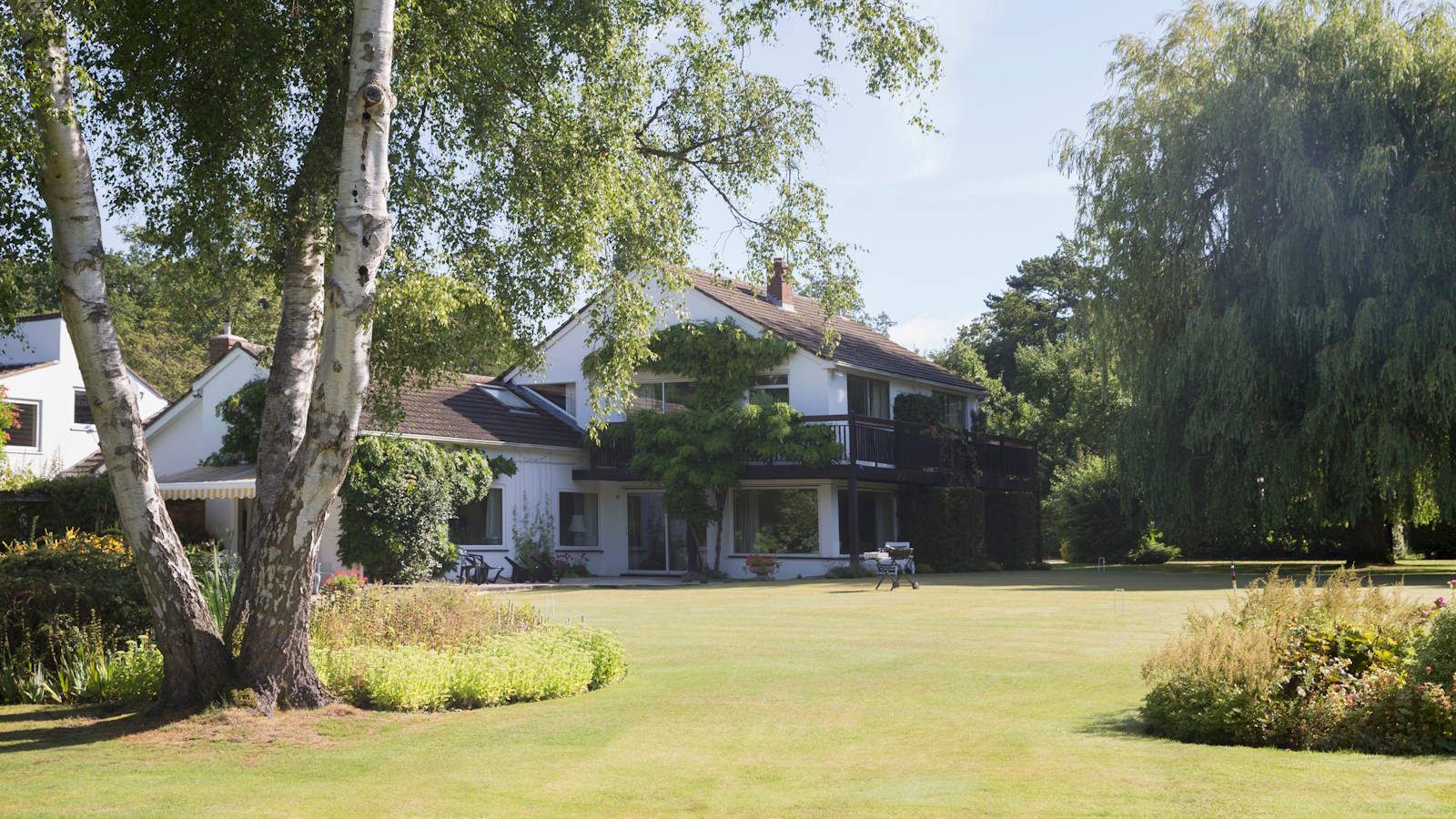 8 tree pruning mistakes to avoid – experts reveal how…