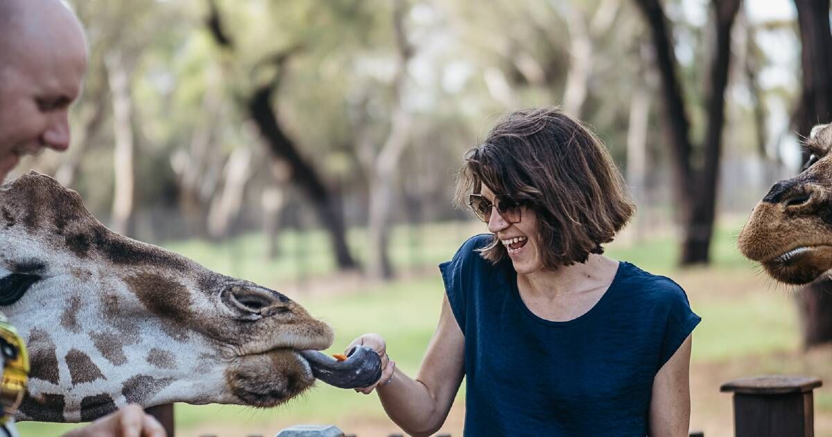 Zoofari feeds family's wild curiosity on Dubbo's…