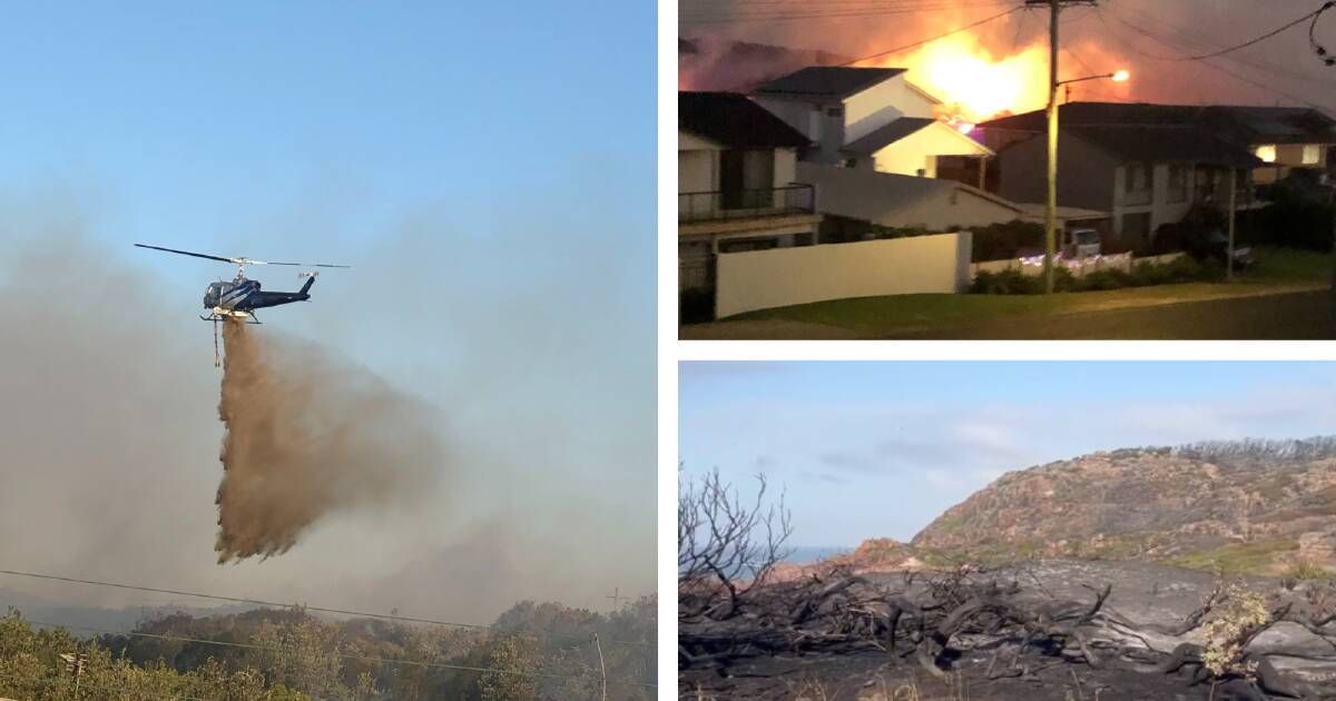 Police investigate bushfire that scorched national park