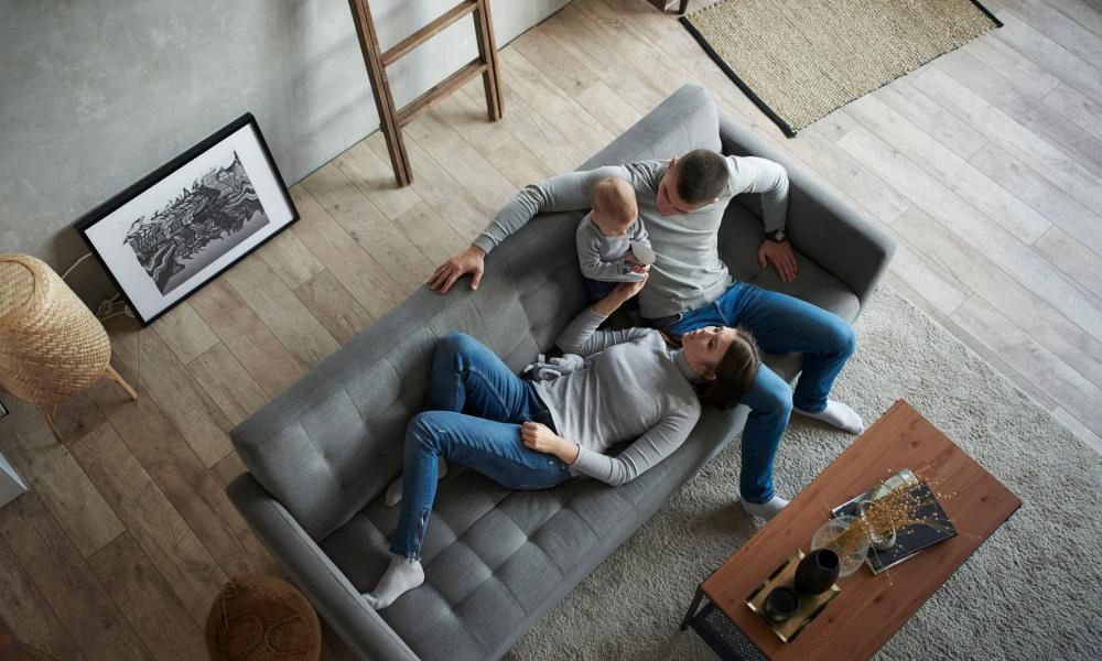 The free-range couch: why your sofa reveals more than…