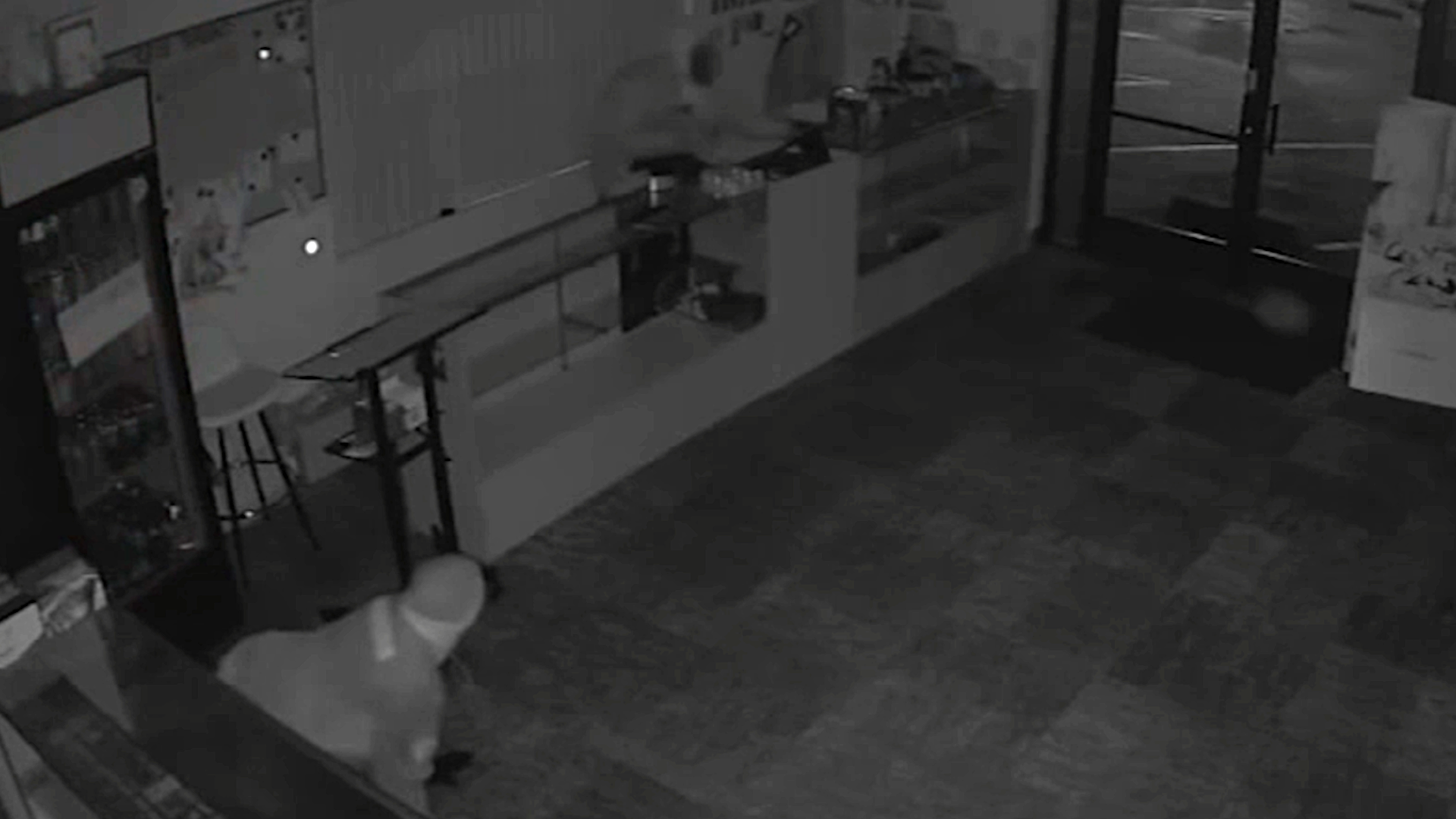 Real-life Team Rocket robs 35,000 Pokémon cards from a…
