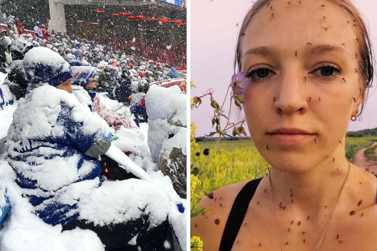 37 Bizarre Human Moments, As Shared On “Humans Doing…