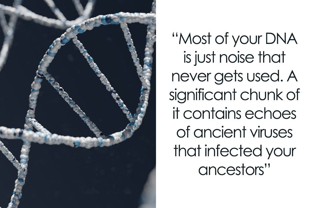 “What Is A Genetics Fact That Not A Lot Of People…