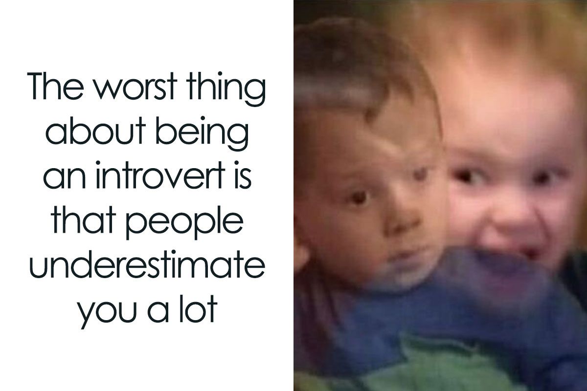 45 Memes That Introverts And Those Of Us Who Dislike…