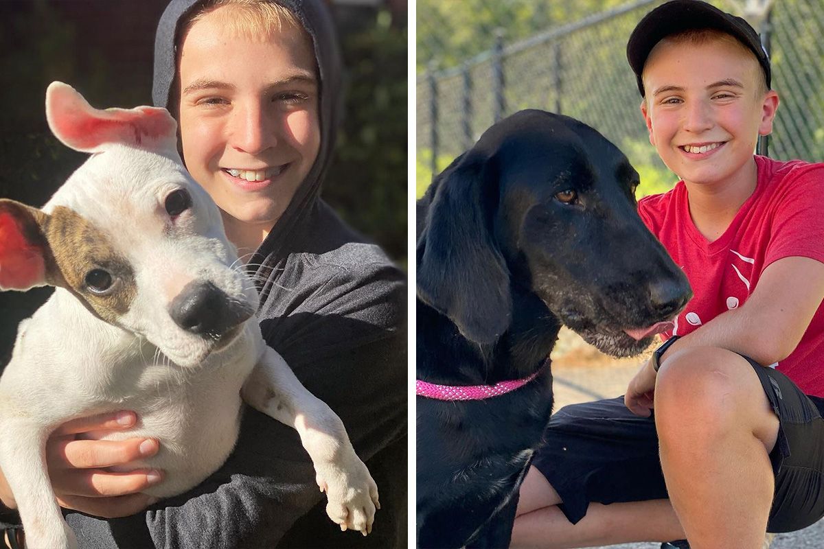 12 Y.O.’s Mission Is To Find Homes For Shelter Dogs…