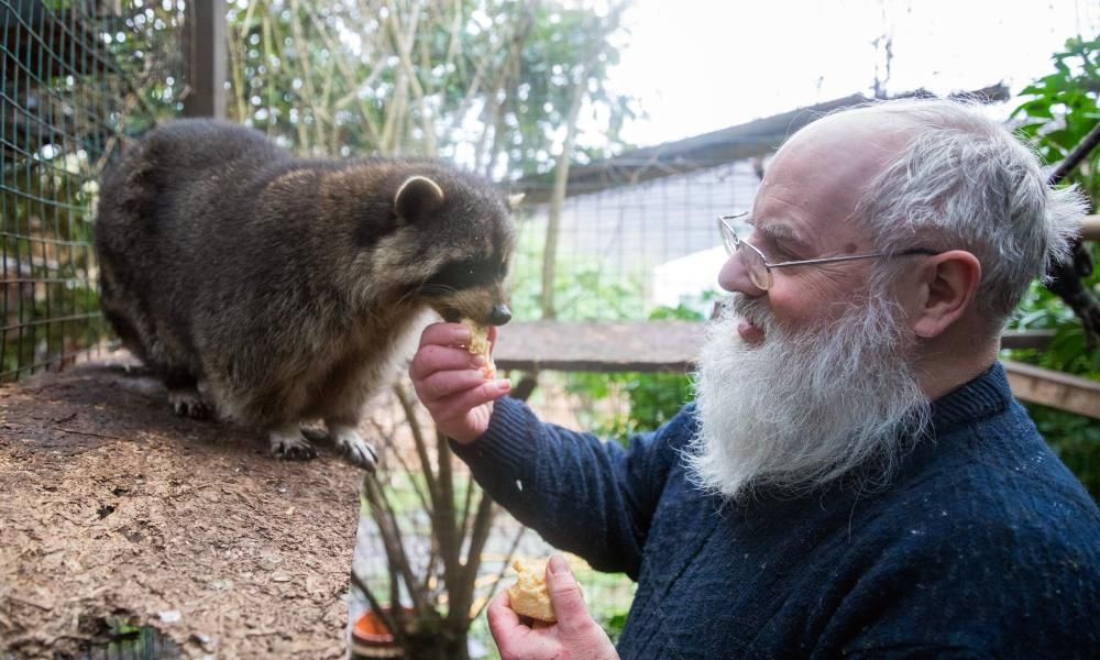 ‘There’s still a stigma’: UK raccoon rescuer on mental…