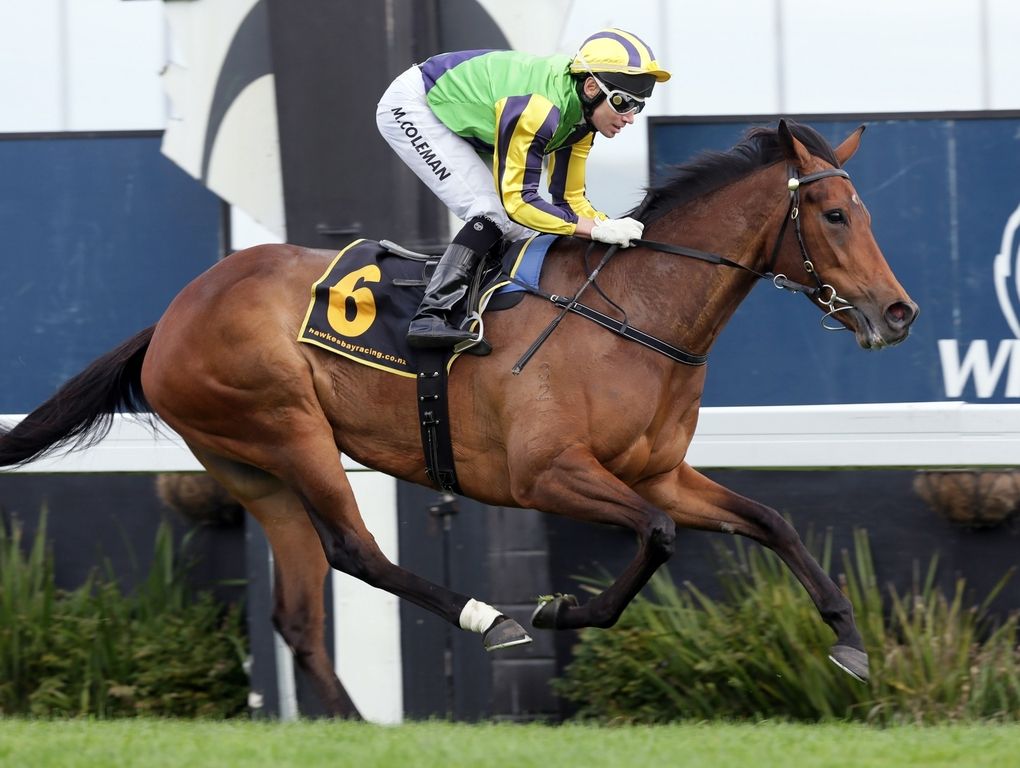 Racing: Humidor has most bases covered