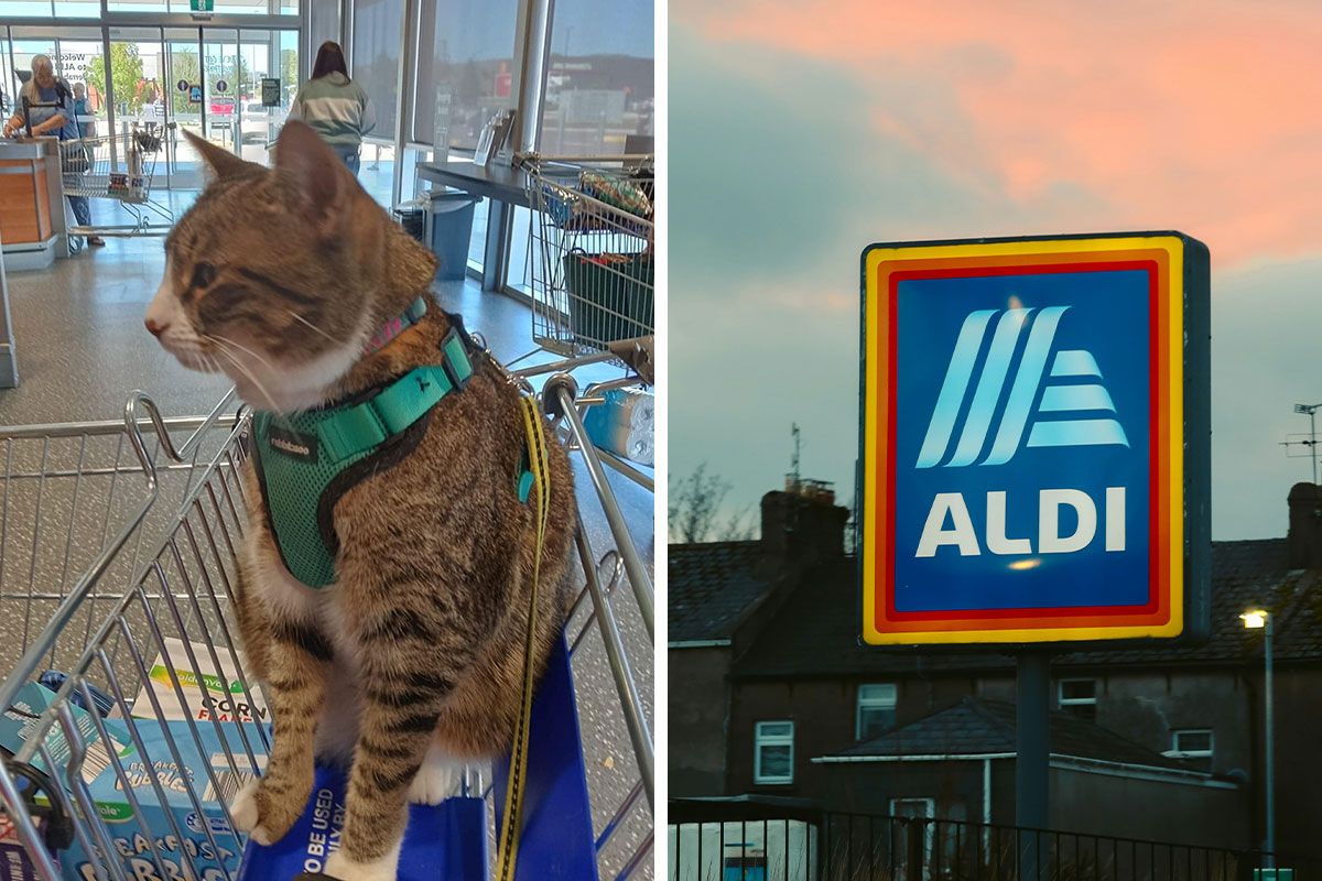 Purr-Hibited: People Fume Over Aldi Shopper After She…