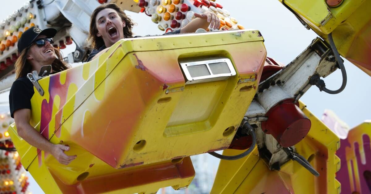 What's on this weekend: Maitland Show, markets