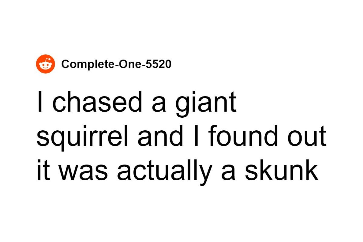 30 People Who Messed Around And Found Out