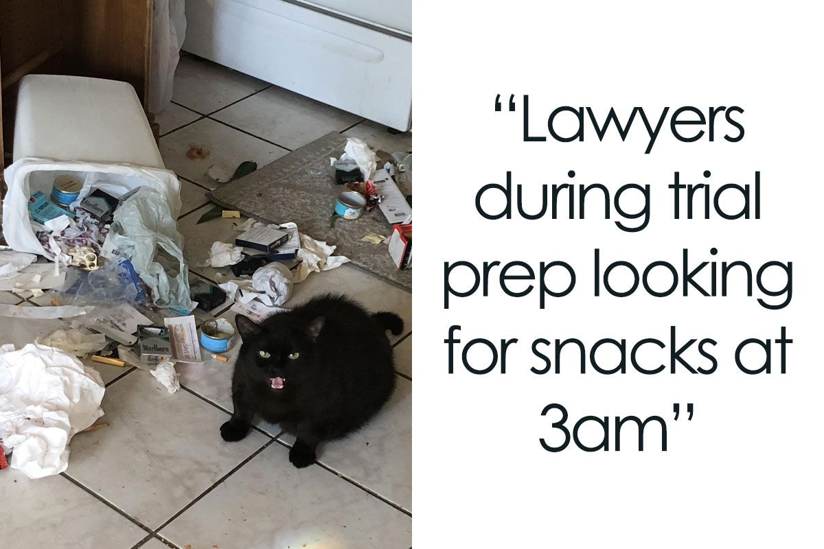 30 Hilarious ‘Attorney Problems’ Memes That May Hit…
