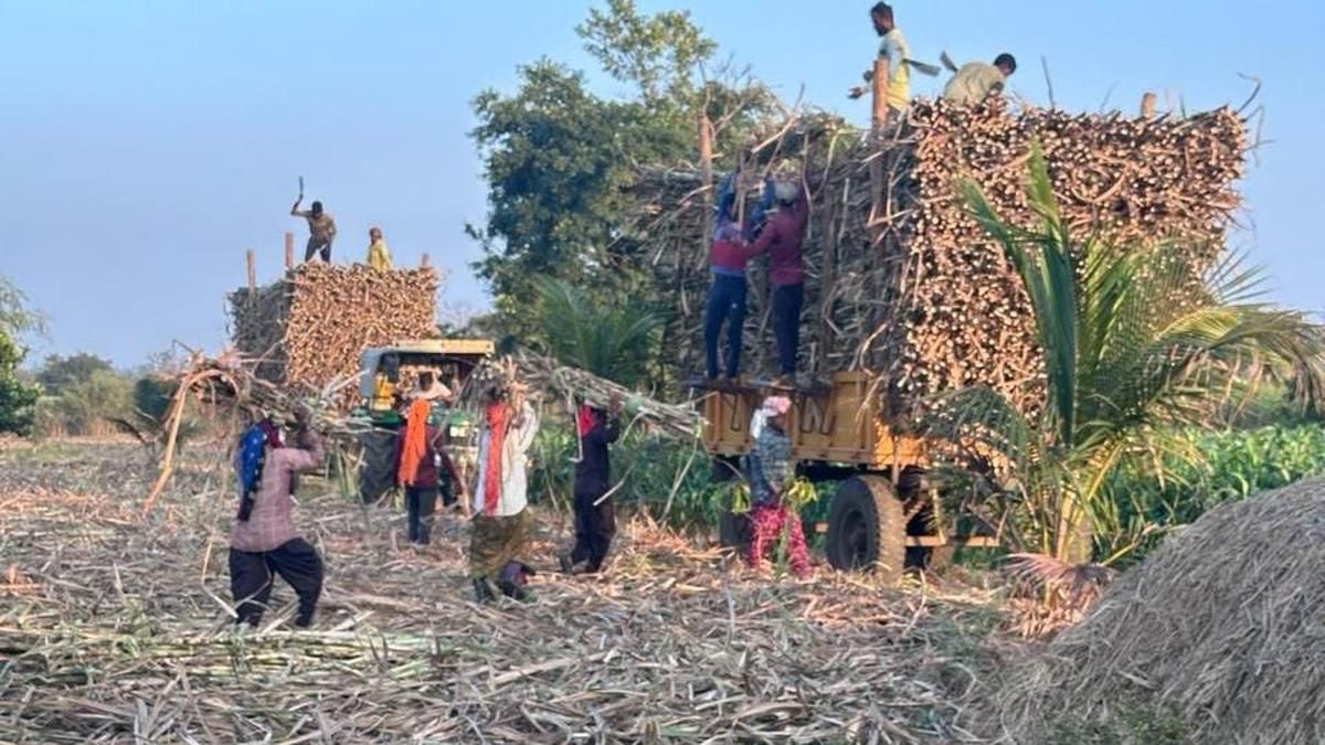 Morning digest | Centre increases FRP of sugarcane;…